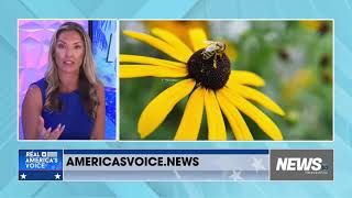 Miranda Khan shares some fun facts about bee's! Watch now to see what ...